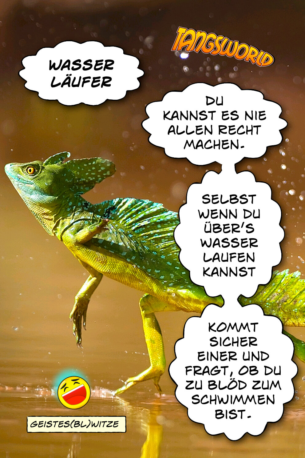 Tangsworld | Bewusst Sein - Glück, Zufriedenheit, Entfaltung